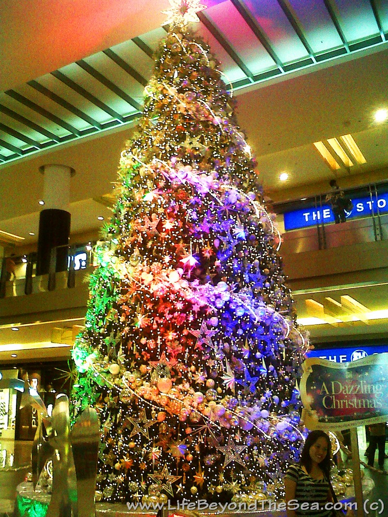 public place christmas tree | PinChristmas.com